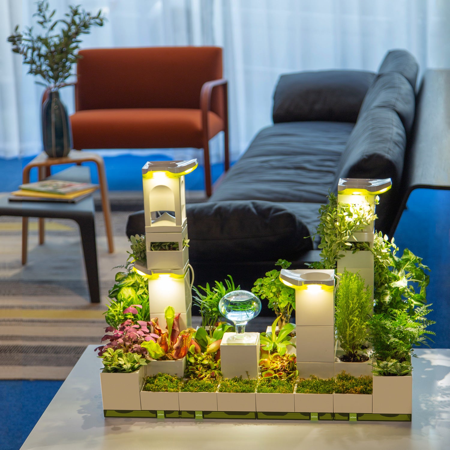 Carnivous Garden – tagged "carnivous" – LeGrow