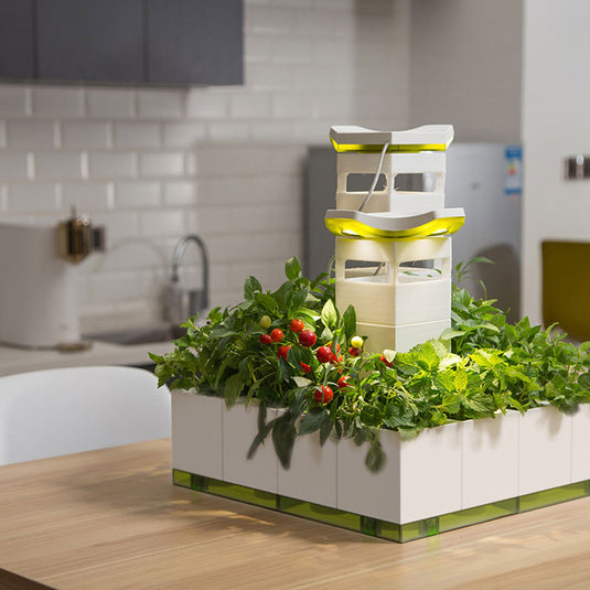 Carnivous Garden – tagged "carnivous" – LeGrow