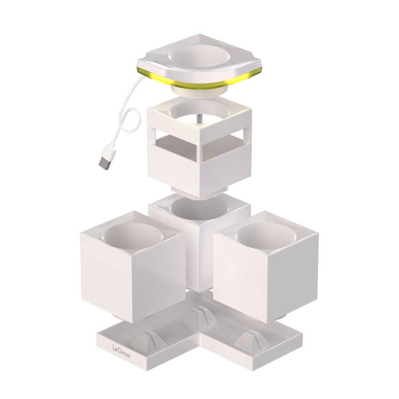 Venus flytraps Carnivorous Garden | LeGrow 10226