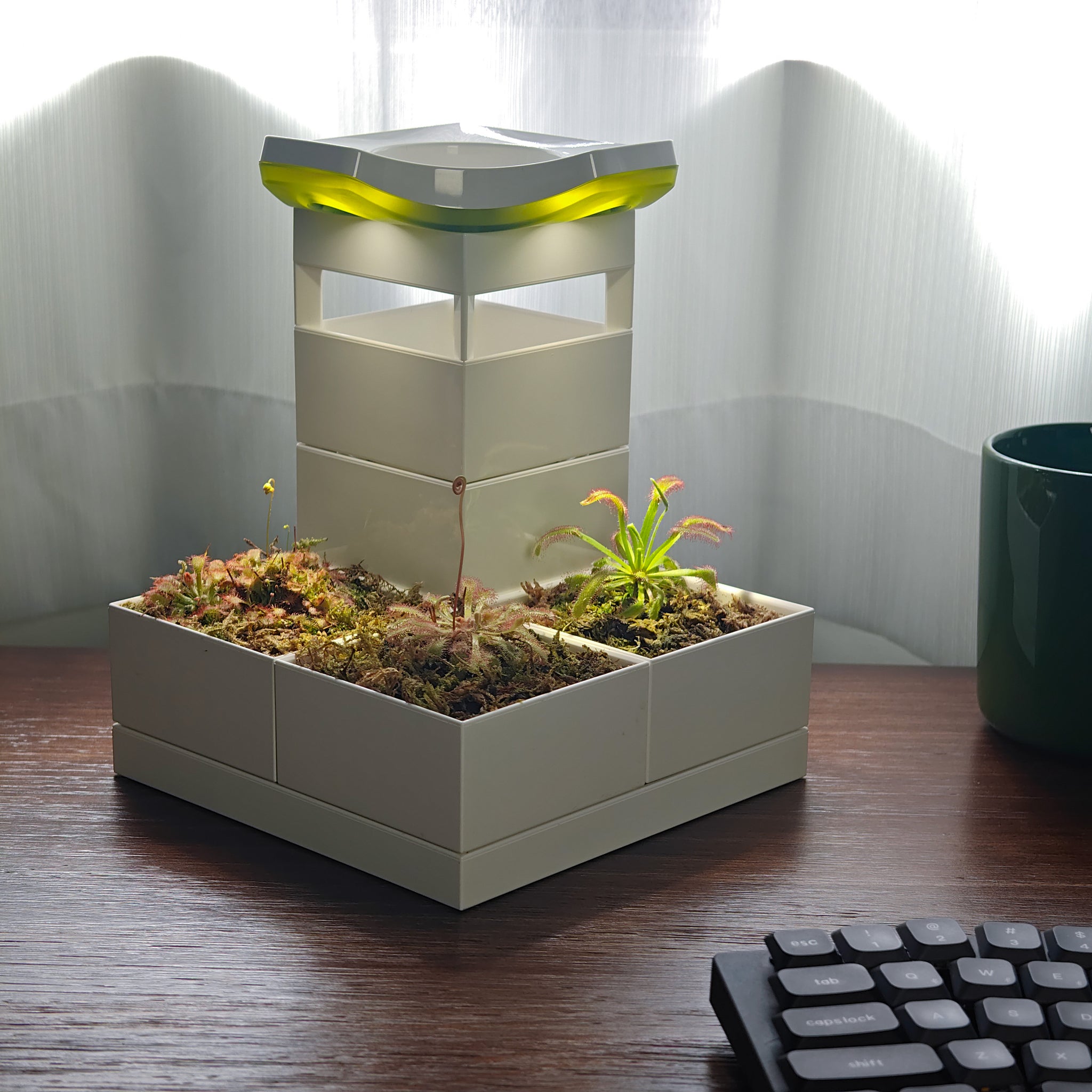 Sundew Garden | LeGrow 10228