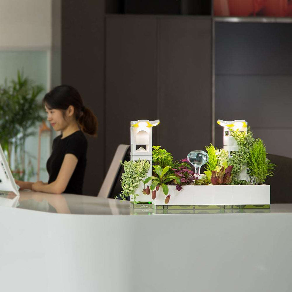 LeGrow Home Garden with speaker | LeGrow 10214