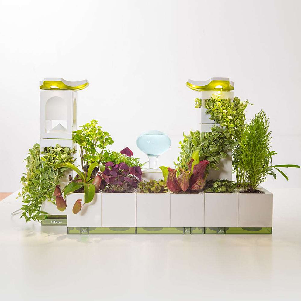 LeGrow Home Garden with speaker | LeGrow 10214