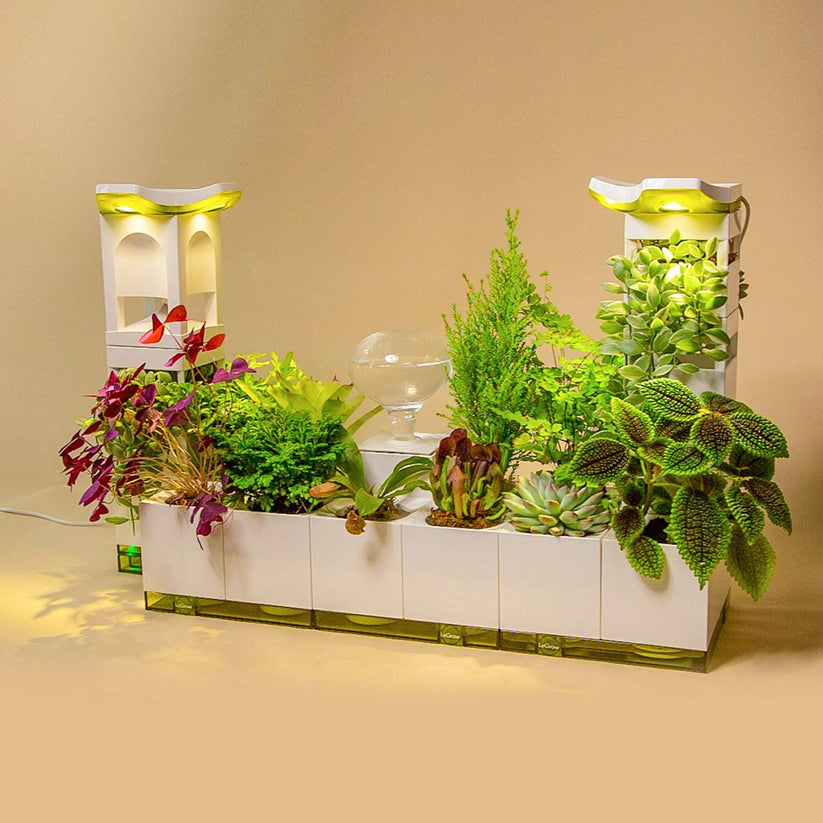 LeGrow Home Garden with speaker | LeGrow 10214