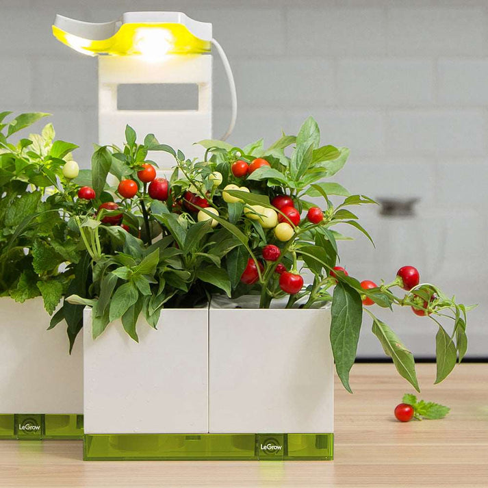 LeGrow Herb Garden (Small) | LeGrow 10218