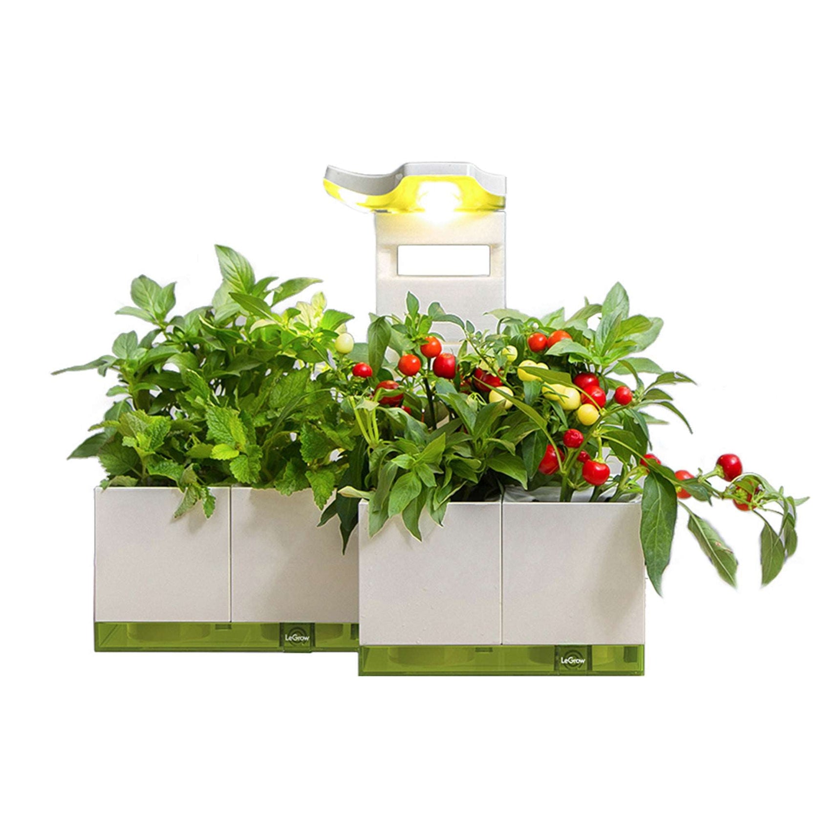 LeGrow Herb Garden (Small) | LeGrow 10218