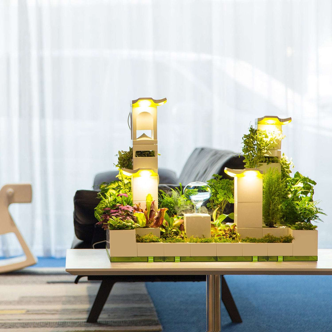urban jungle – LeGrow