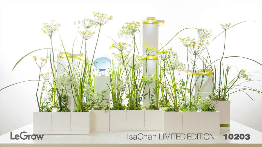 urban jungle – LeGrow