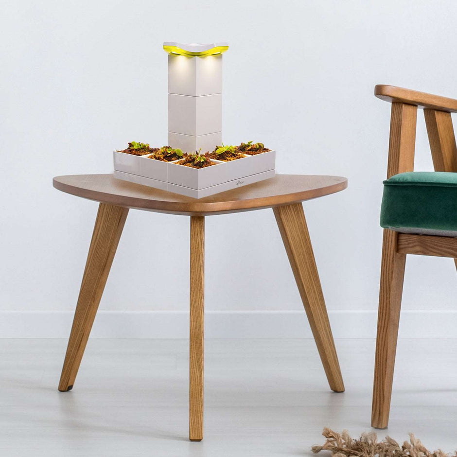 urban jungle – LeGrow