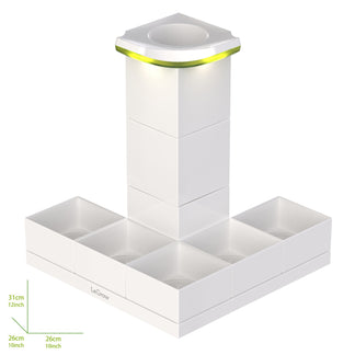 Pinguicula Garden | LeGrow 10223