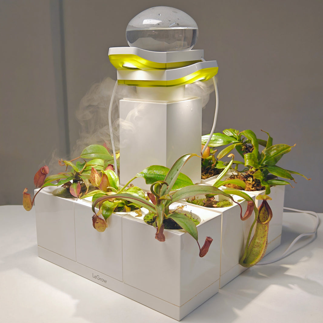 Carnivous Garden – tagged "carnivous" – LeGrow