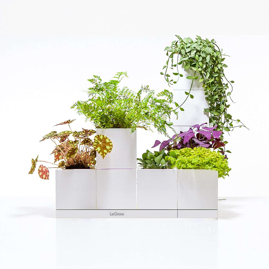 urban jungle – LeGrow