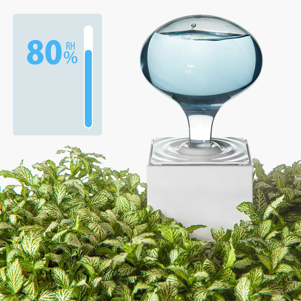 LeGrow Humidifier | Increase air humidity for plants | Automatic shutd