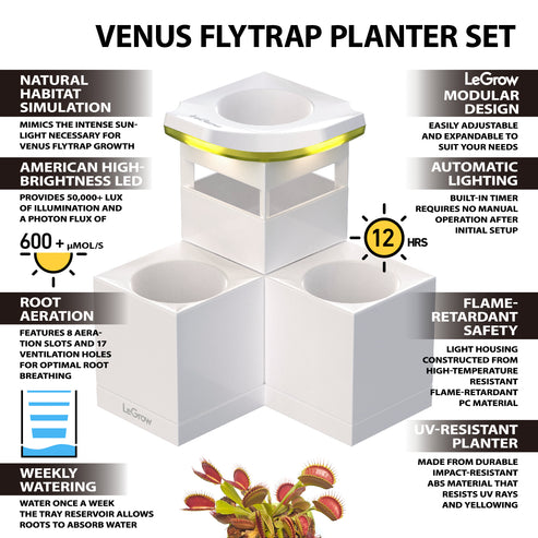 Venus flytraps Carnivorous Garden | LeGrow 10226