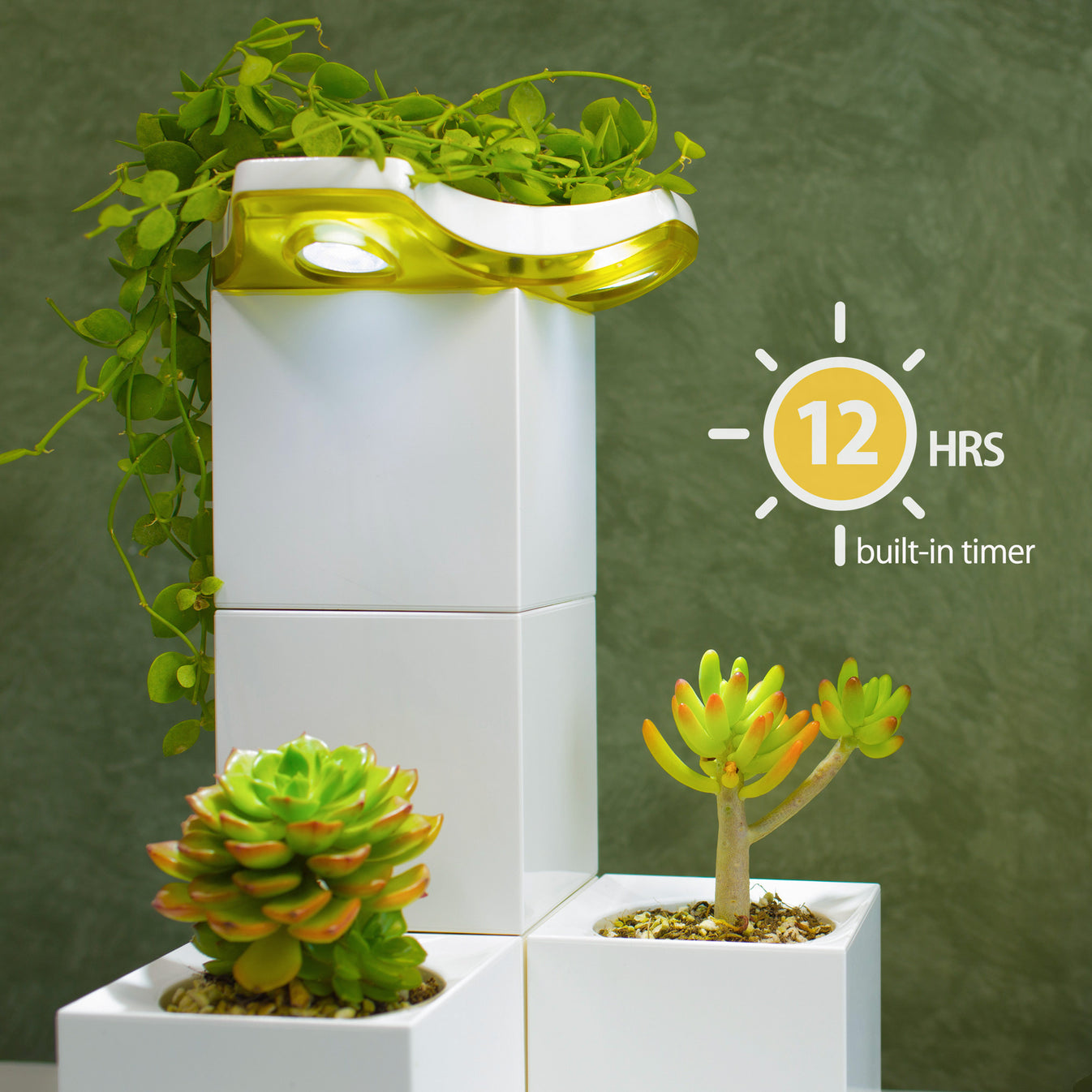 LeGrow Grow Light with Automatically Timer for Indoor Gardening, 2 Cou
