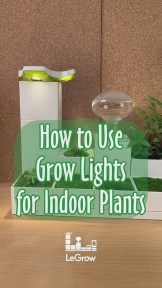LeGrow Grow Light with Automatically Timer for Indoor Gardening, 2 Cou